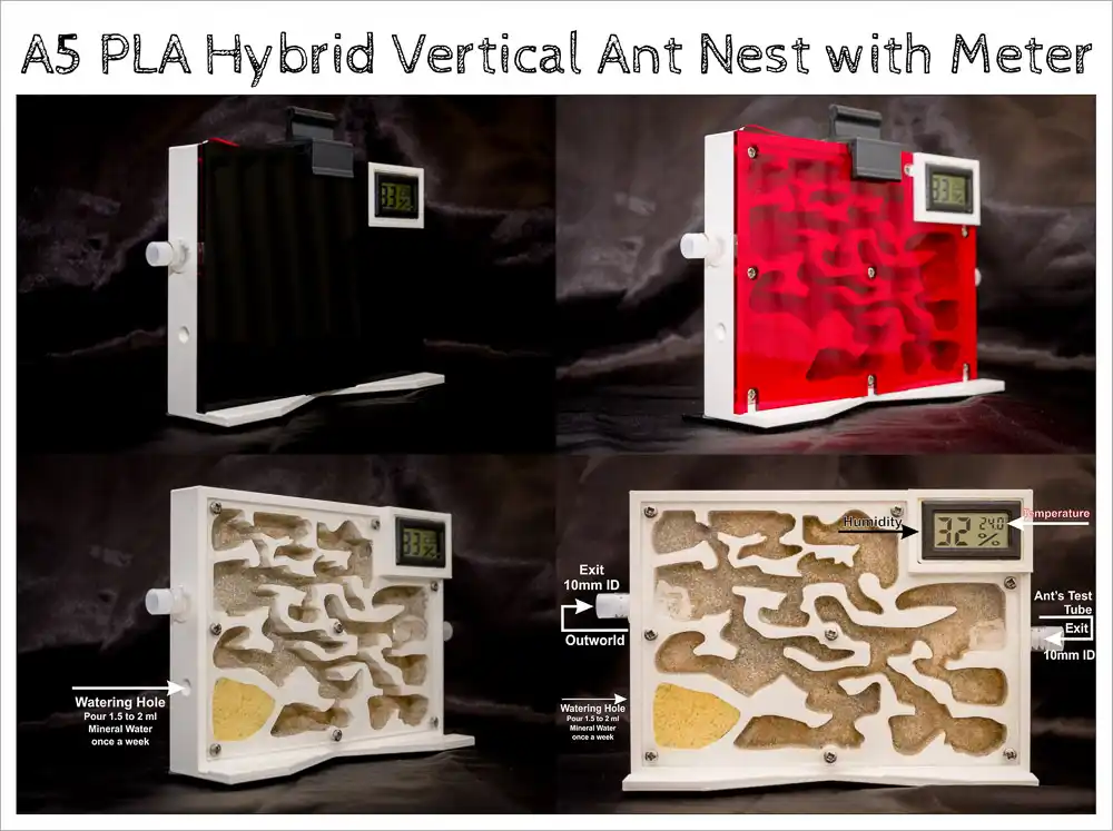 Custom Ant Farm Choose Your Ants Setup
