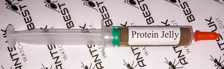 Ant Food Protein Jelly