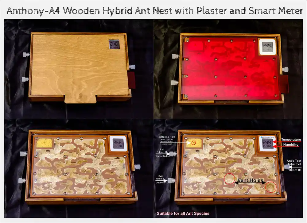 Wooden Ant Farm Starter Kit Ants Nest Large