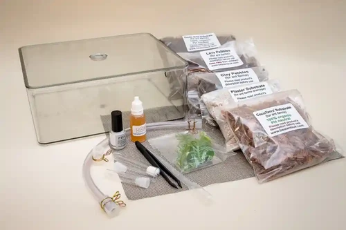 My Living Ants Nest Formicarium Natural Eco Ant Farm Large