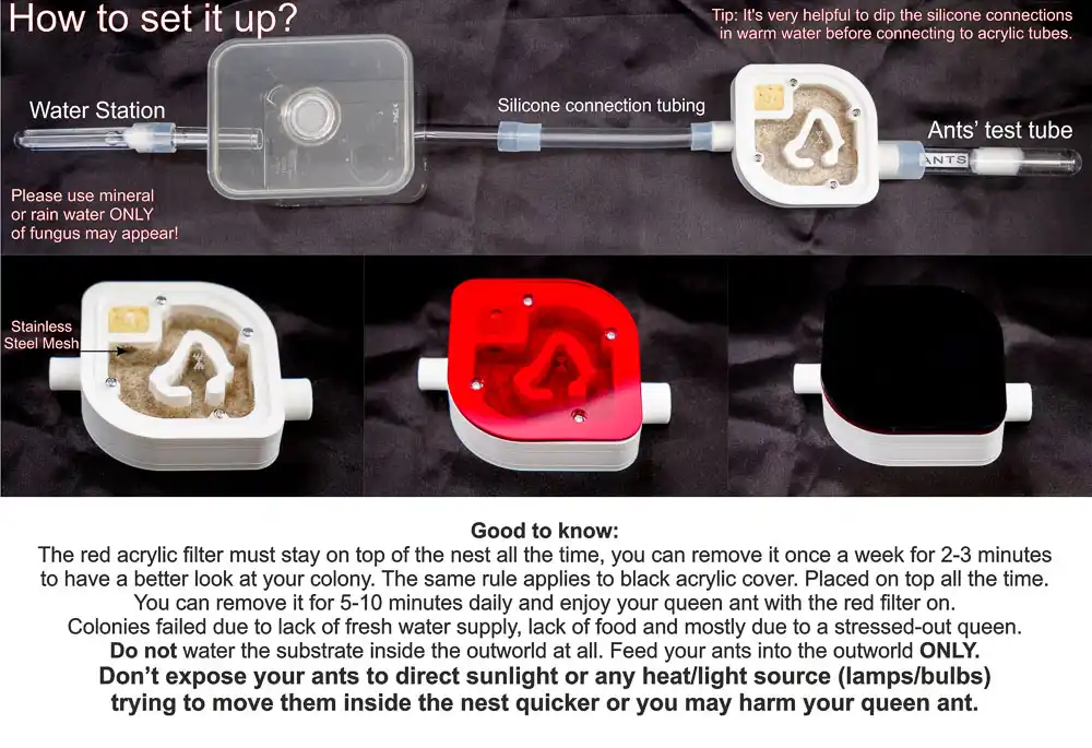 Ant Farm Kit A7 Beginner Starter Set Ant Nest