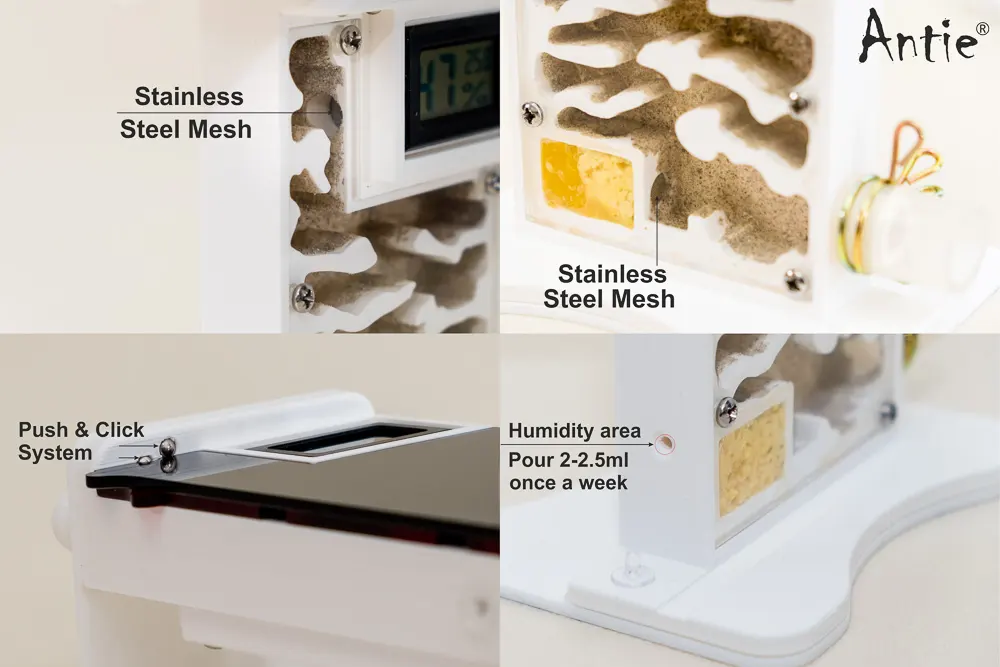 Antie Plus Ant Farm Kit Live Queen Ant Starter Nest