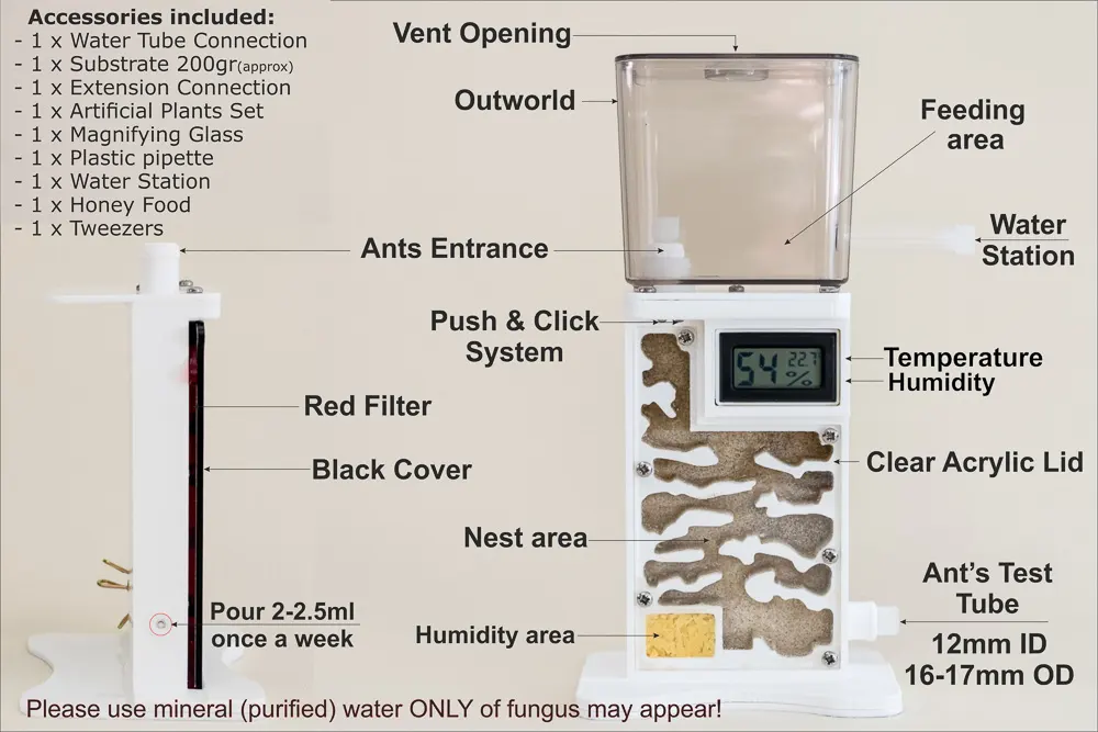 Antie Ant Farm Kit Live Queen Ant Starter Nest