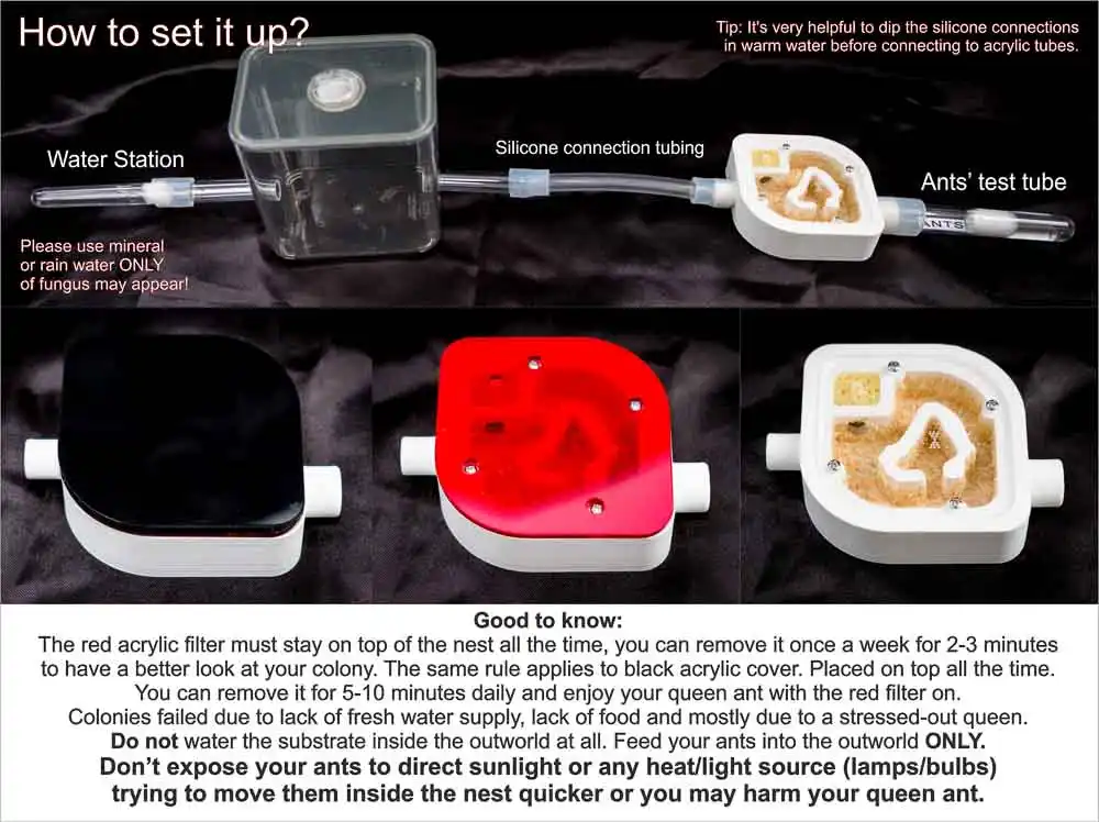 Ant Farm Kit A7 W Starter Set Live Queen Ant Nest