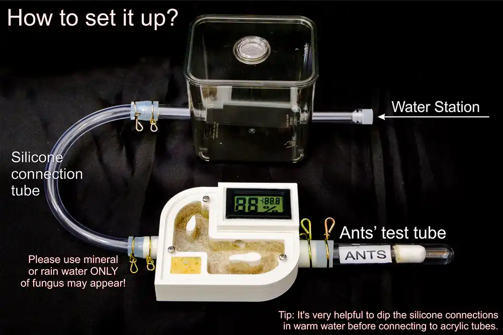 Lucas Ant Farm Starter Kit Live Queen Ant Nest