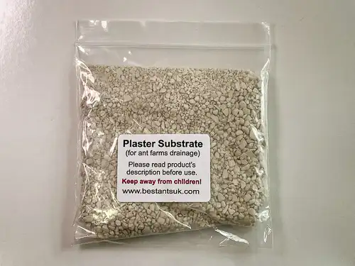 Ant Farm Plaster Substrate Humidity Layer