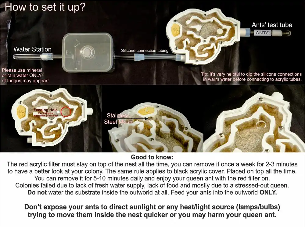 Ant Farm Kit A5 PLA Complete Nest Setup Live Queen Ant