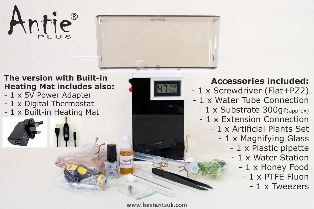 Antie Plus Ant Farm Kit Live Queen Ant Starter Nest