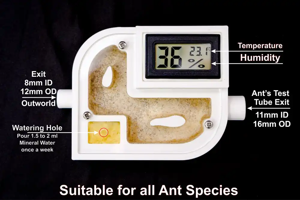 Lucas Ant Farm Starter Kit Live Queen Ant Nest