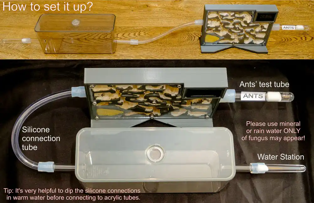Ant Farm Kit with Plaster and Thermometer