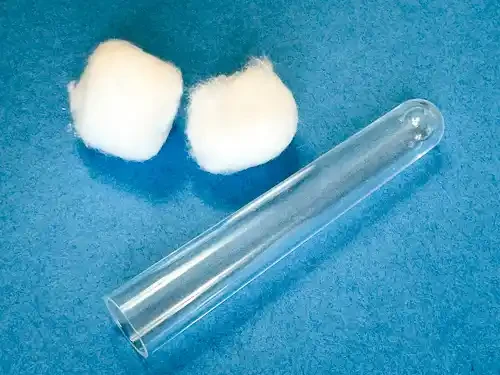 Queen Ant Test Tube 16 x 100mm