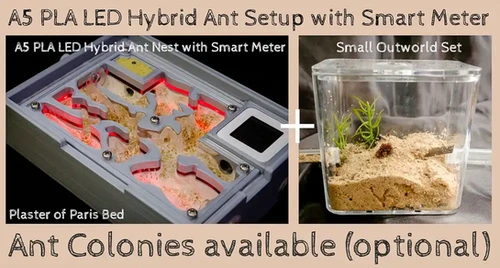 Ant Farm Starter Kit Medium Live Queen Ants Colony Nest