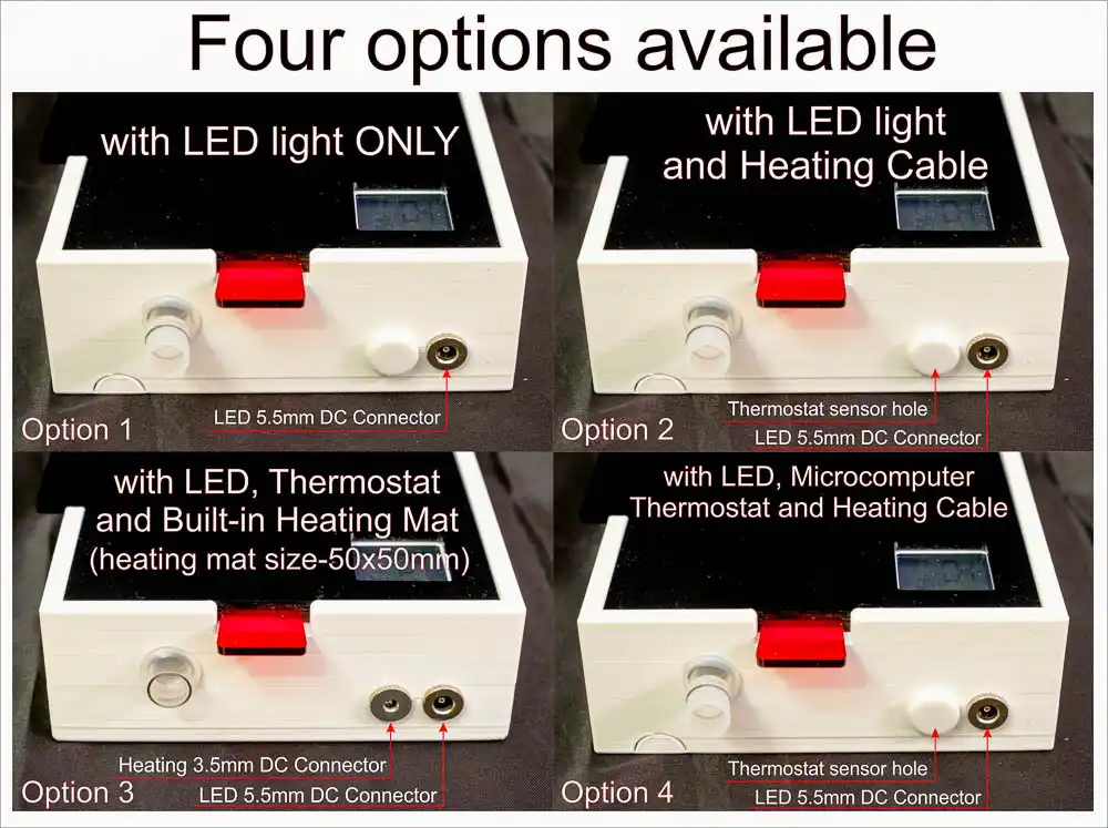 Ant Farm Medium Live Queen Ants Colony Nest