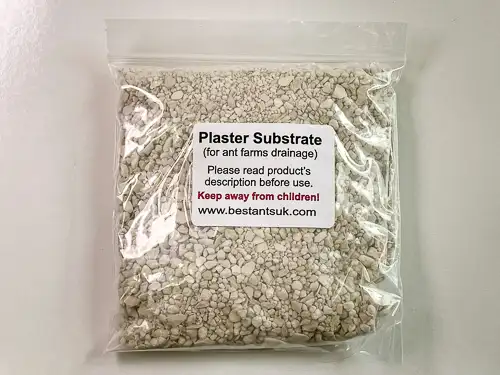 Ant Farm Plaster Substrate Humidity Layer