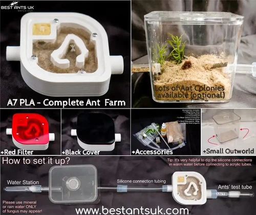 Ant Farm Kit A7 Beginner Starter Set Ant Nest