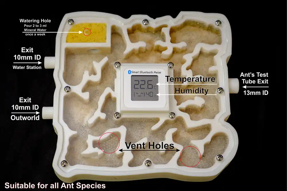 Ant Farm Kit A4-2 Smart Meter Live Queen Ant Nest