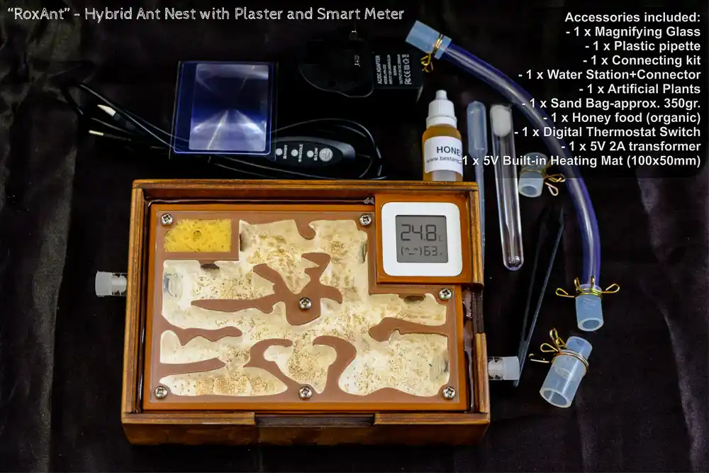 Wooden Ant Farm Starter Kit Ants Nest RoxAnt