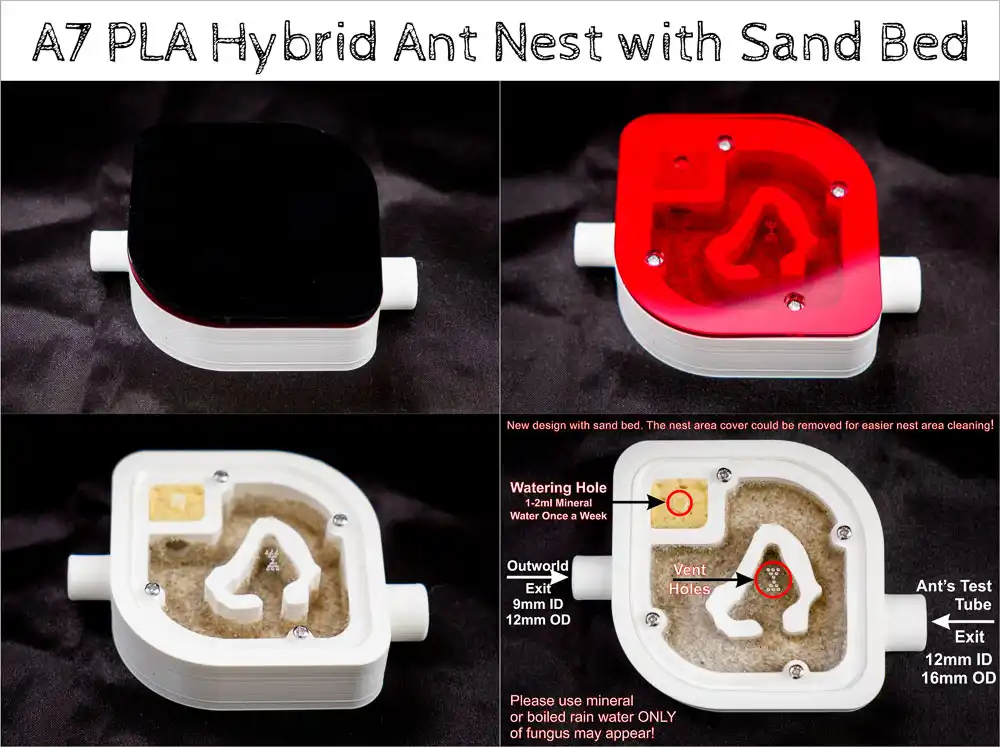 Ant Farm Kit A7 Beginner Starter Set Ant Nest