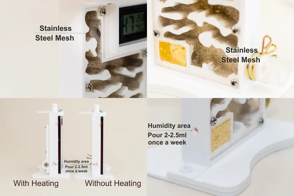 Antie Ant Farm Kit Live Queen Ant Starter Nest