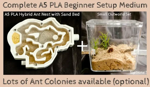 Ant Farm Kit A5 PLA Complete Nest Setup Live Queen Ant
