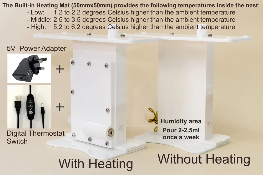Ant Farm Kit Antie Plus MB Starter Set with Live Queen Ant