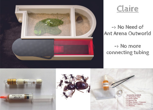 Claire - Complete Ant Farm Starter Kit | Best Ants UK