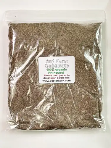 Ant Farm Formicarium Organic Sand-loam Substrate