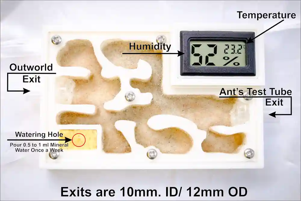 A6 Ant Farm Kit with Meter Starter Ant Nest Live Queen
