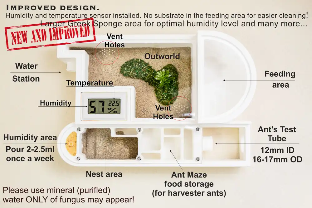 Claire Complete Ant Farm Starter Kit
