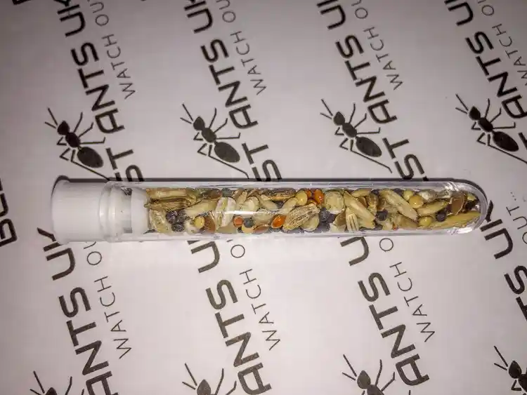 Ant Food Organic Harvester Messor Ants Seeds