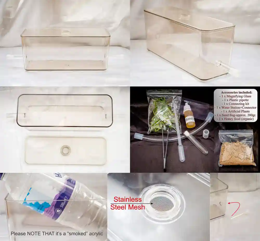 Ant Farm Arena Outworld Medium Set