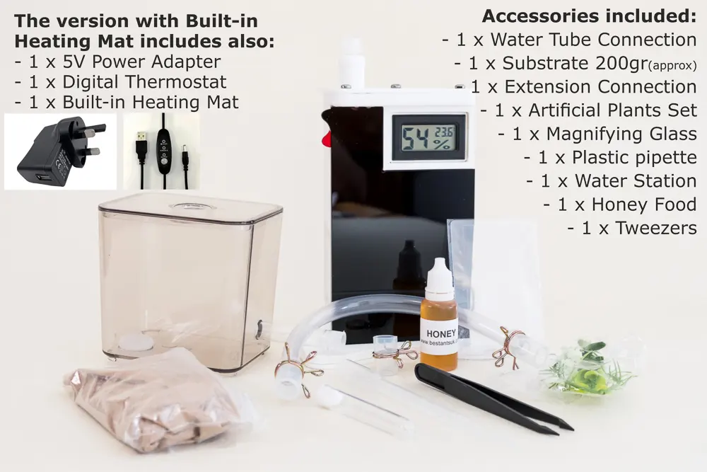 Antie Ant Farm Kit Live Queen Ant Starter Nest