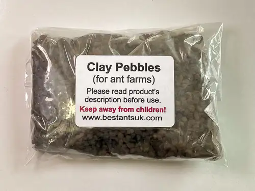 Ant Farm Clay Pebbles Substrate Drainage Layer