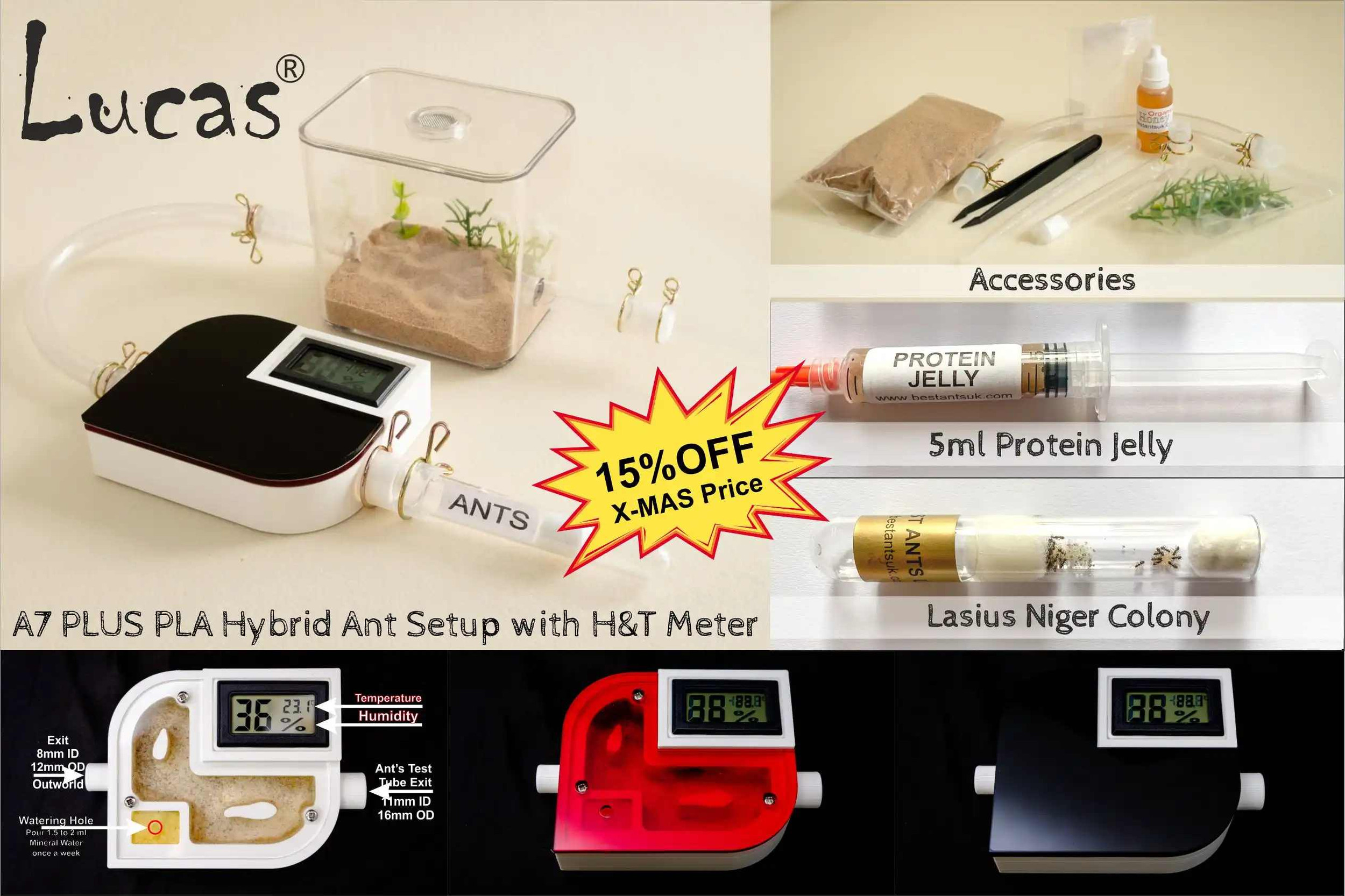 Top 5 Best Ant Farm Kits for Kids: Educational and Fun