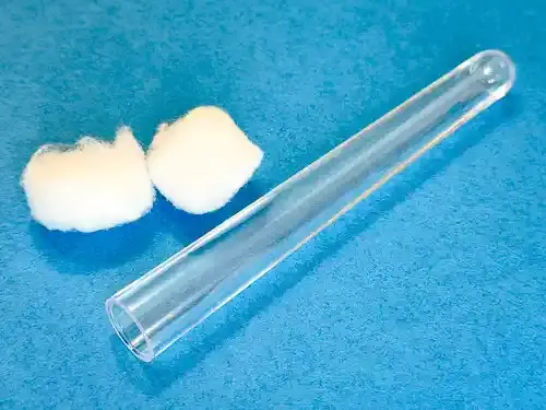 Accessories | Best Ants UK