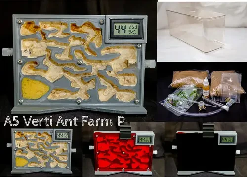 Ant Farm Kit with Plaster and Thermometer