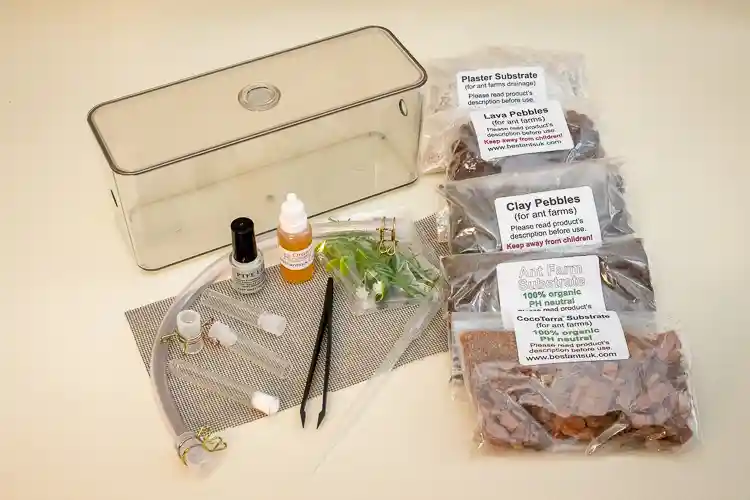 Medium Ant Farm Kits | Best Ants UK