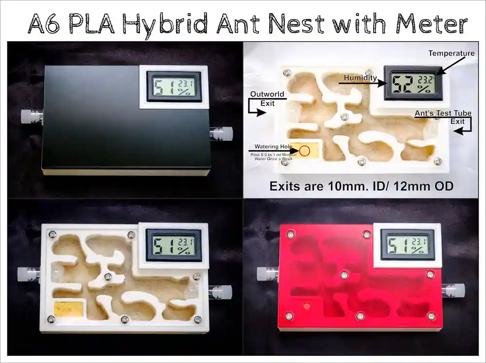Custom Ant Farm Choose Your Ants Setup