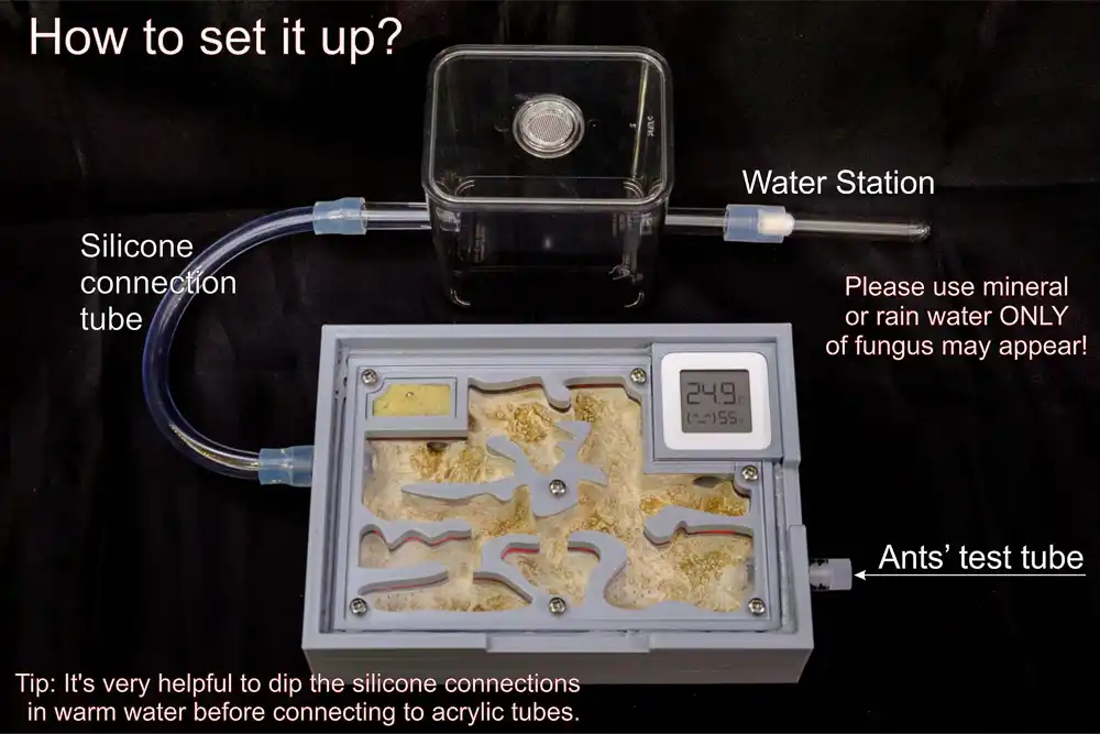 Ant Farm Starter Kit Medium Live Queen Ants Colony Nest