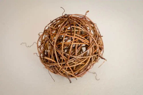 Weaver Ball for Ants| Ant Farms & Kits | Best Ants UK