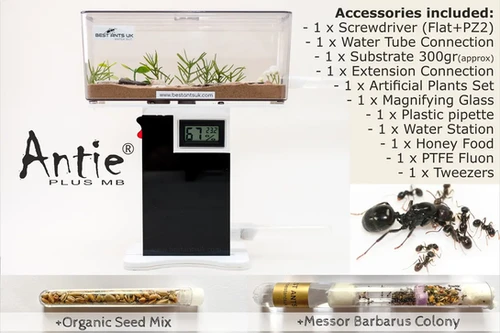 Ant Farm Kit Antie Plus MB Starter Set with Live Queen Ant