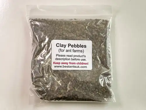 Ant Farm Clay Pebbles Substrate Drainage Layer