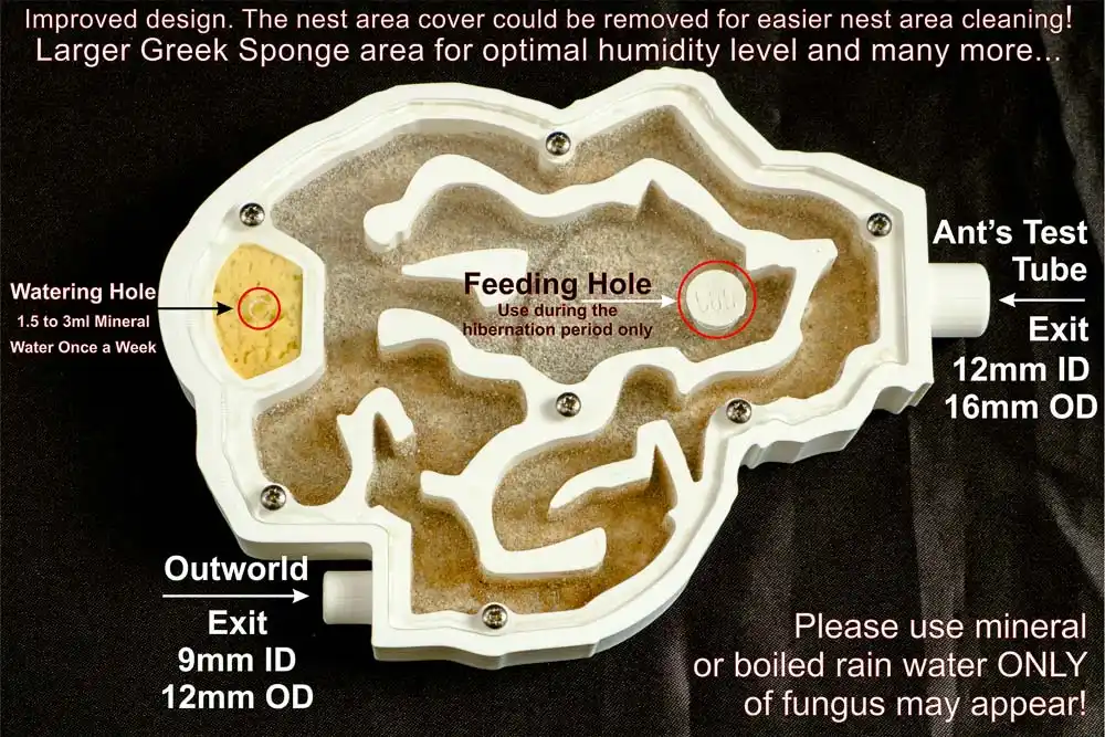 Ant Farm Kit A5 PLA Complete Nest Setup Live Queen Ant