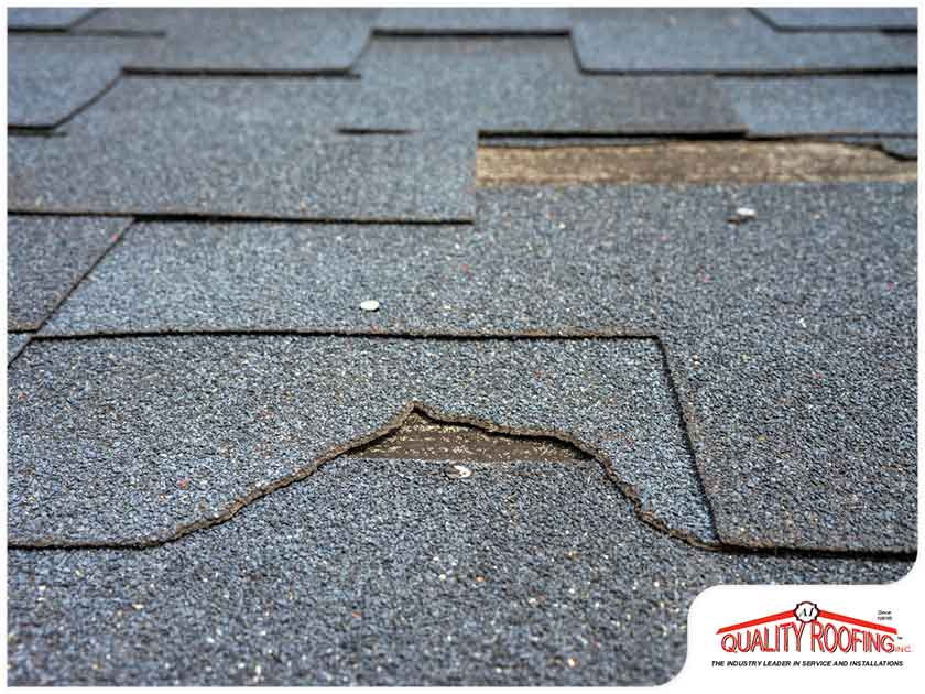 Shingle Cracking and Splitting: What's the Difference?