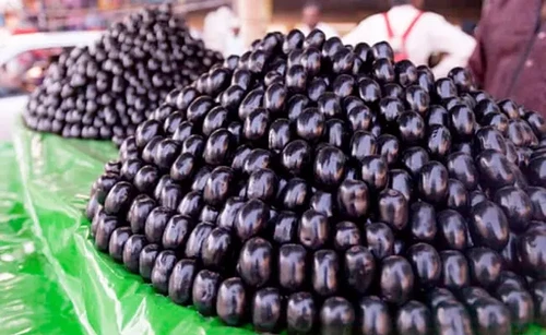 Black Plum (Jamun)-500g from Manoj bhati | FarmLokal