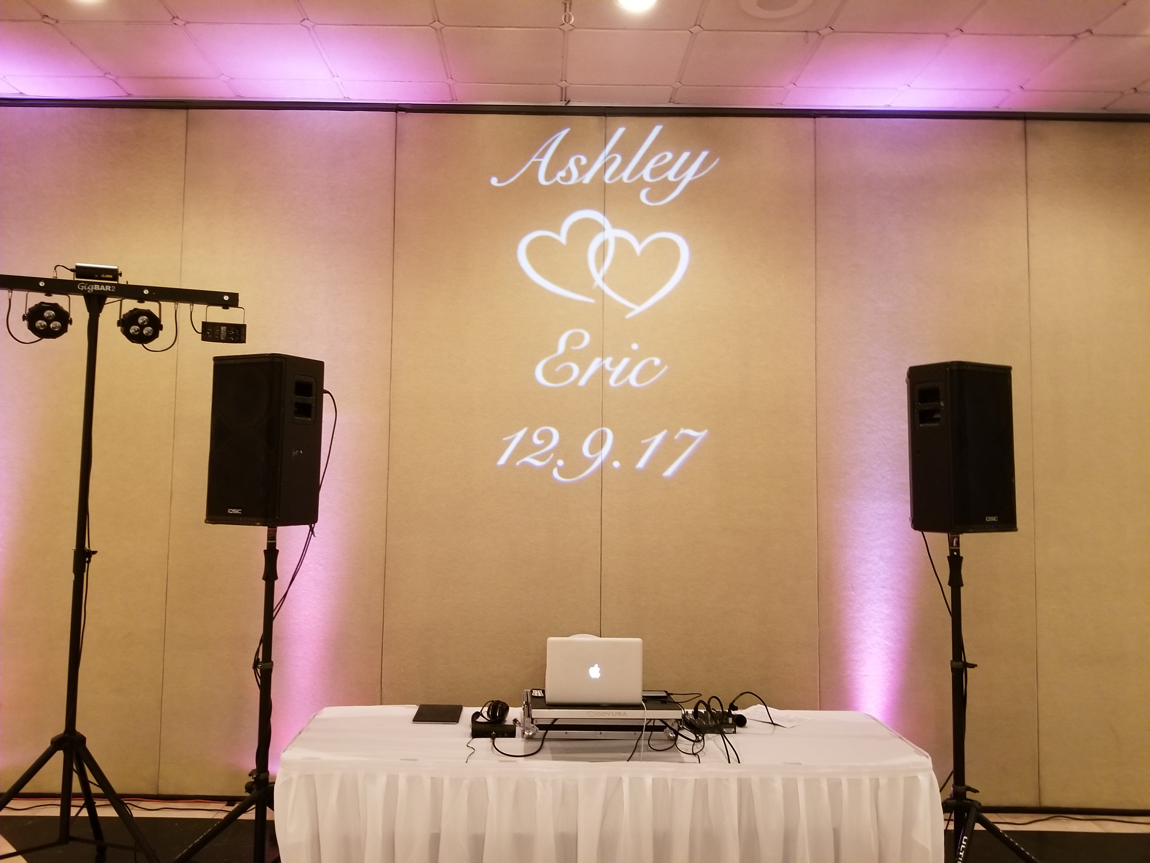 Michigan's Top Wedding DJ | United States | MI Event DJs, LLC