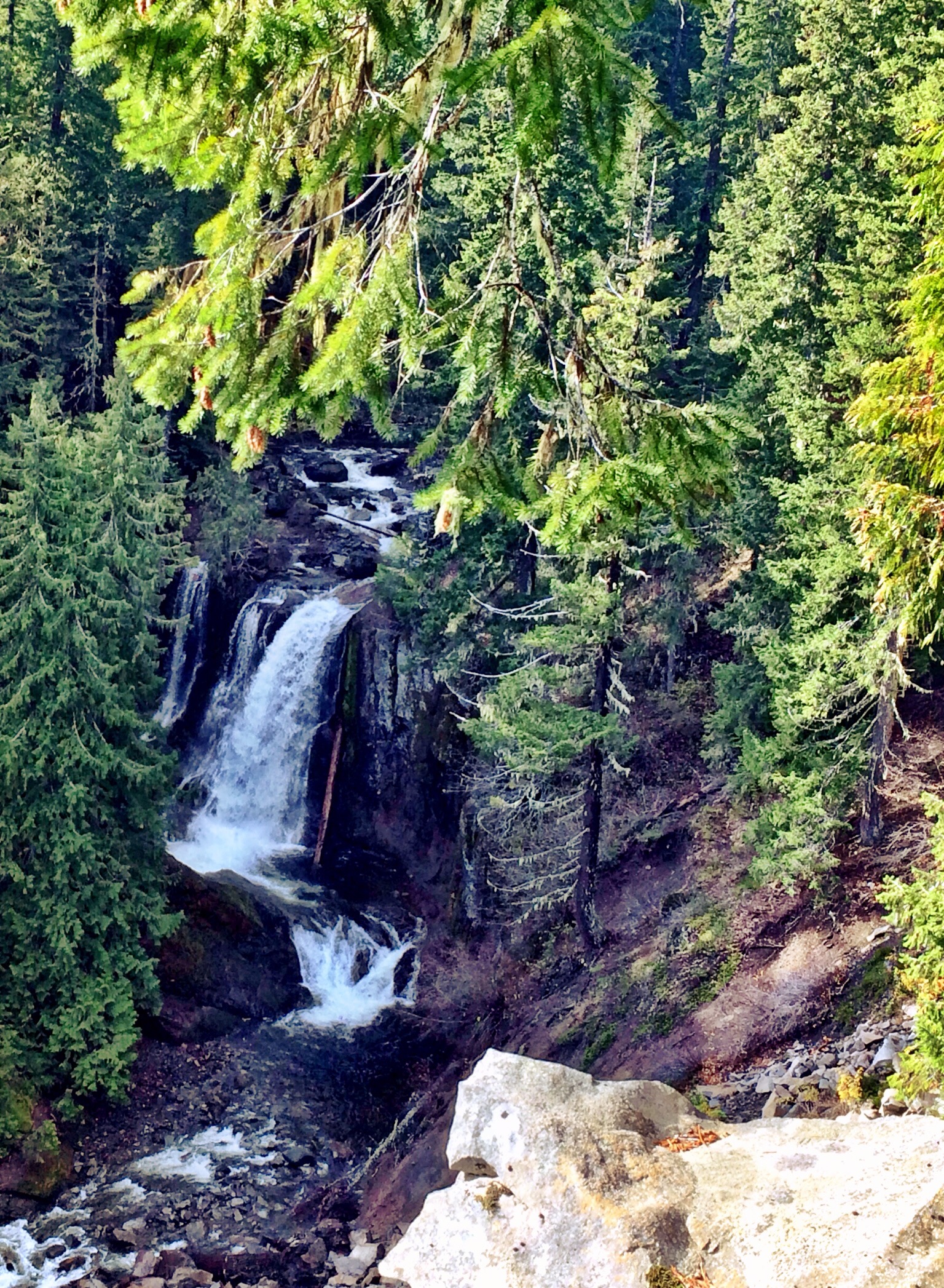 Trout Lake Cozy Cabins | Photo Gallery