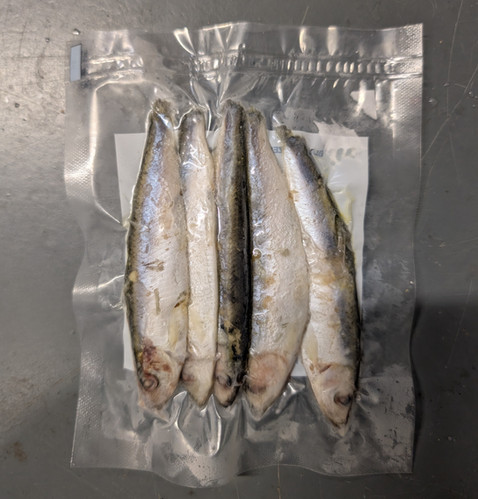 Sprats | Bait Butcher Fishing Tackle