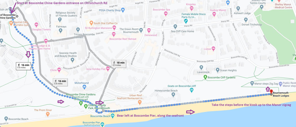 Walk#1: Boscombe Chine