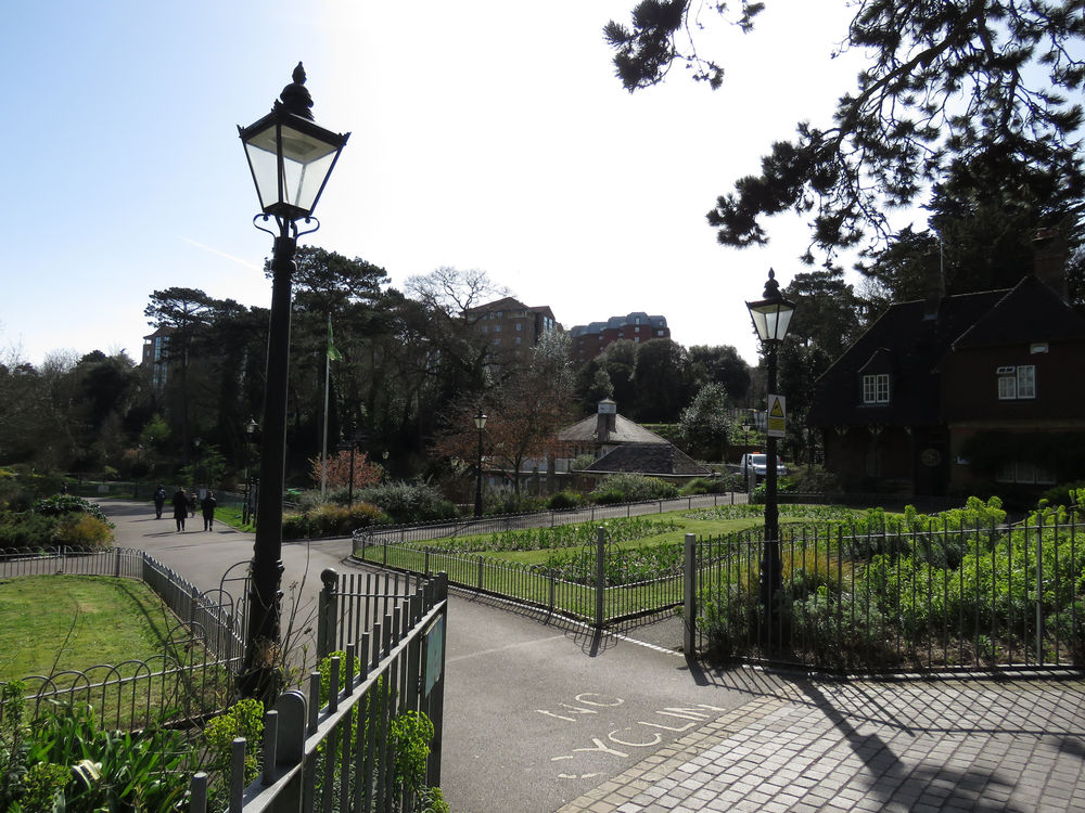 Walk#1: Boscombe Chine